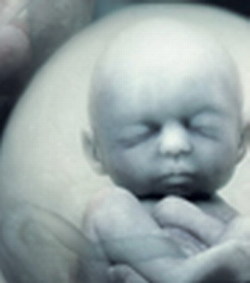 bébé – ZAZA-RAMBETTE LE RETOUR