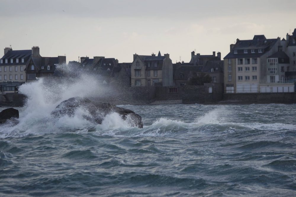 houle roscoff – ZAZA-RAMBETTE LE RETOUR
