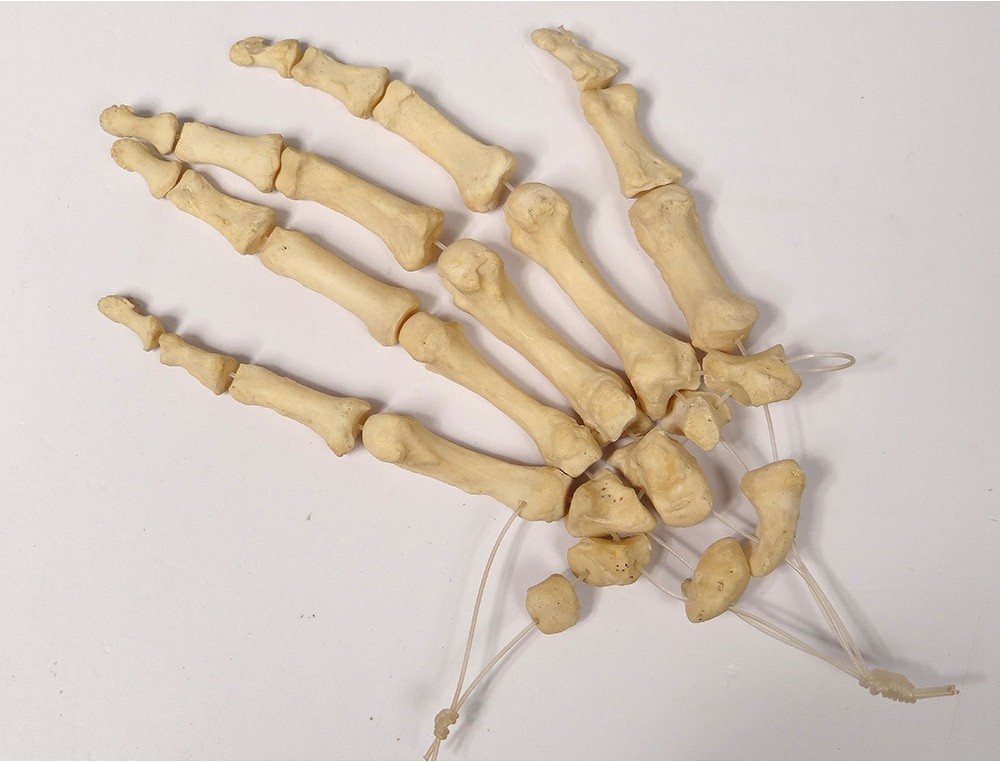 squelette-main articulée | ZAZA-RAMBETTE LE RETOUR