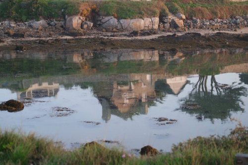 reflets batz 9 – ZAZA-RAMBETTE LE RETOUR